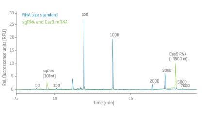PA 800 Plus Pharmaceutical Analysis System
