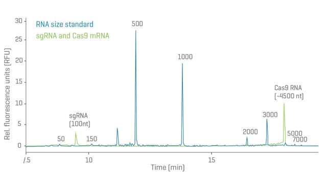 PA 800 Plus Pharmaceutical Analysis System