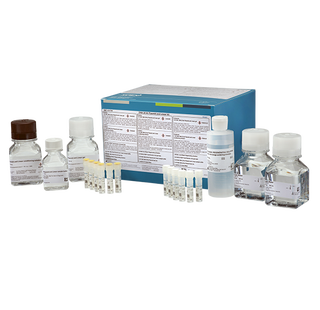 DNA 20 kb Plasmid and Linear kit