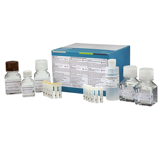 DNA 20 kb Plasmid and Linear kit