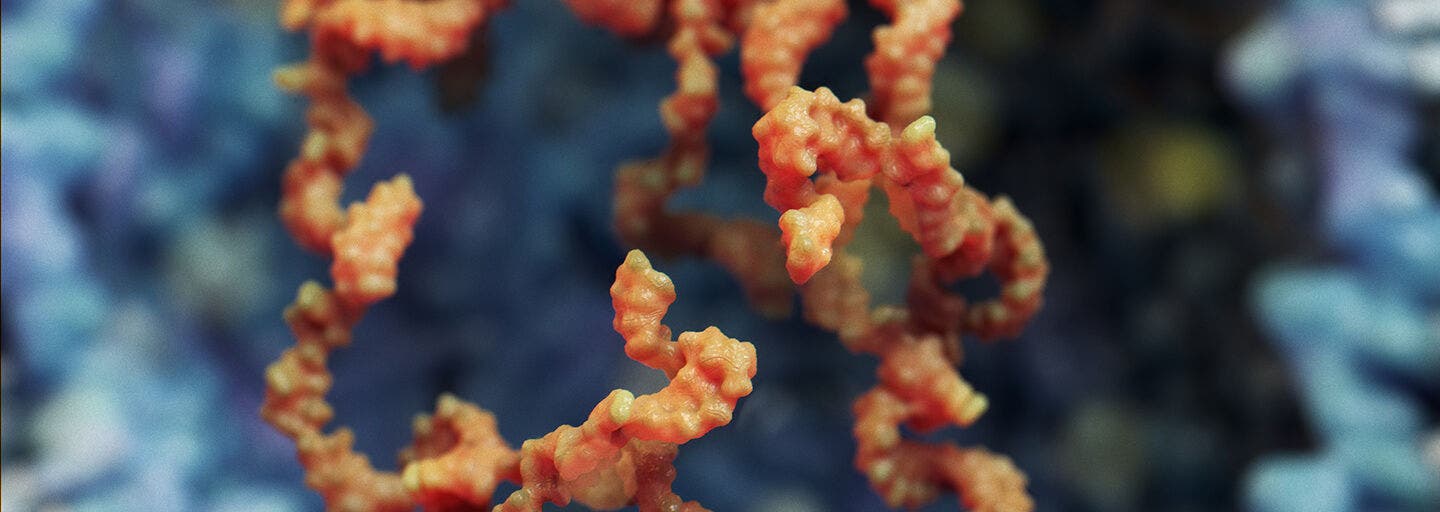 Messenger RNA analysis