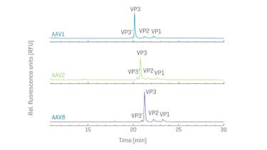 PA 800 Plus Pharmaceutical Analysis System