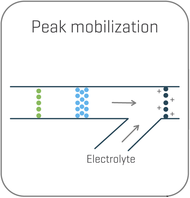 icIEF-MS Technology | SCIEX