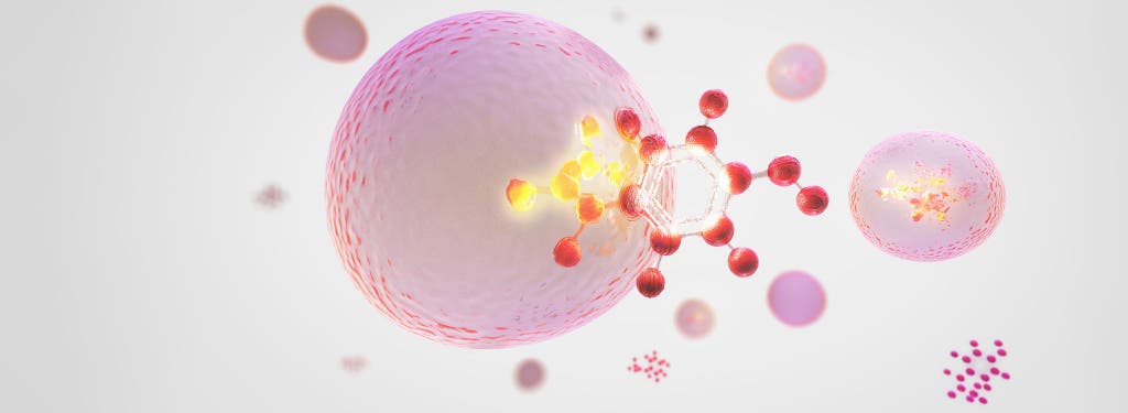Metabolite identification