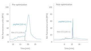 PA 800 Plus Pharmaceutical Analysis System