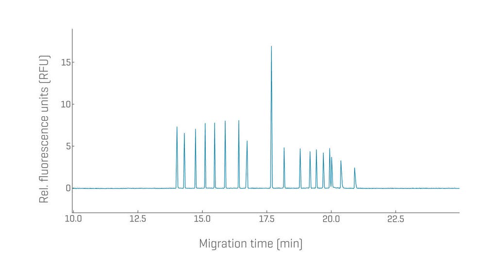 DNA 20 kb Plasmid and Linear kit