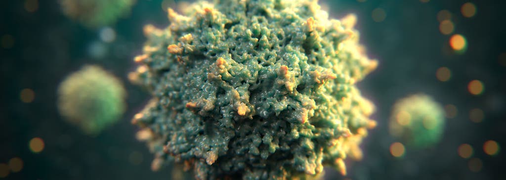 Viral vector characterization