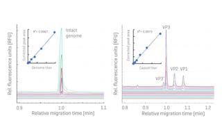 PA 800 Plus Pharmaceutical Analysis System