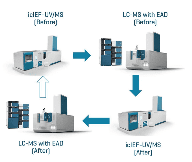 Effortless icIEF-UV/MS to LC-MS switching for comprehensive biotherapeutic characterization