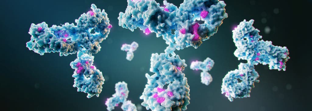 CZE Rapid Charge Variant Analysis Kit