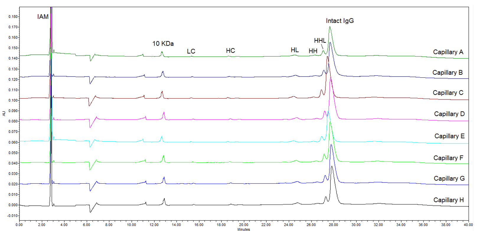Streamlining data compliance for multi-channel capillary electrophoresis