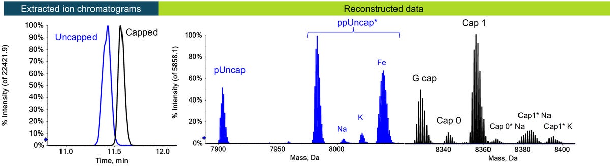 Characterization and relative quantification of mRNA 5’capping