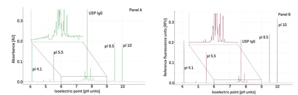Charge heterogeneity analysis by capillary isoelectric focusing and ...