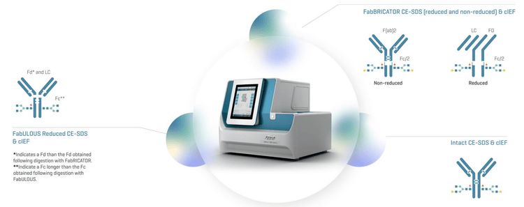 Subunit analysis of NISTmAb by capillary electrophoresis-sodium dodecyl ...