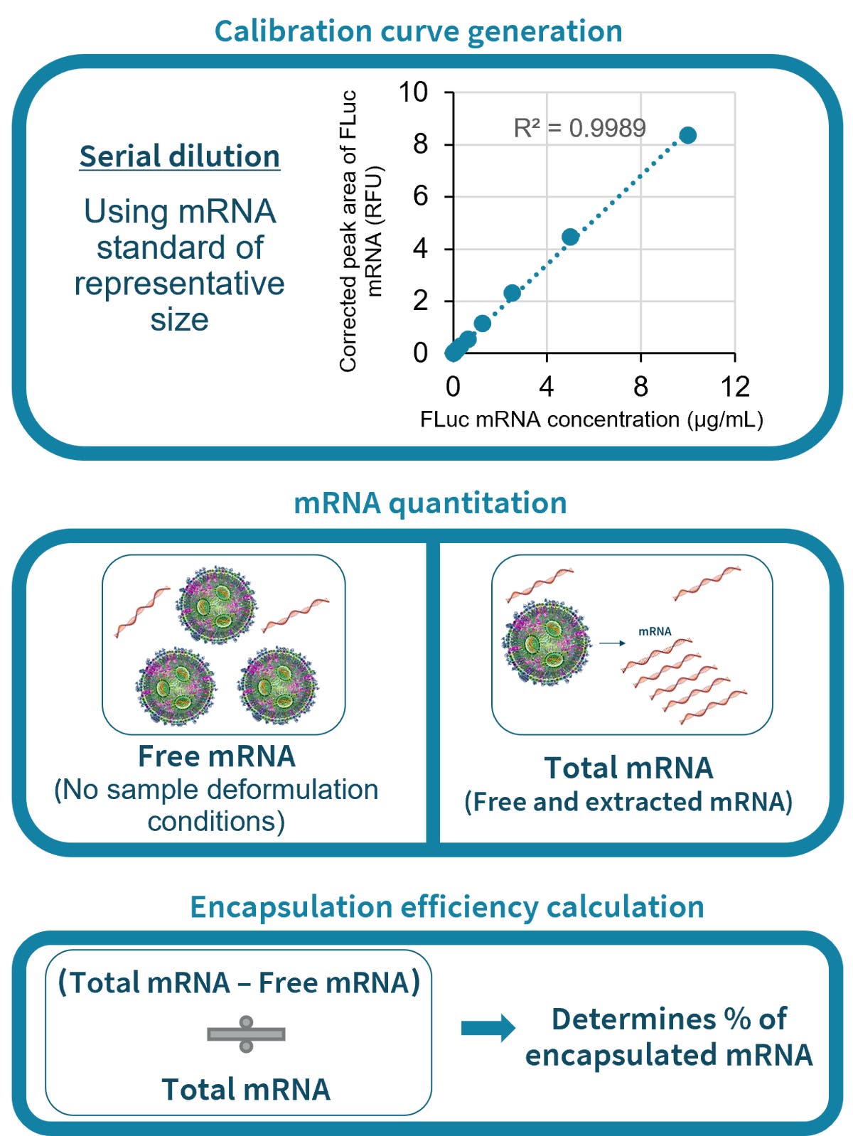 Accurate and robust mRNA-LNP encapsulation efficiency analysis by capillary gel electrophoresis ...