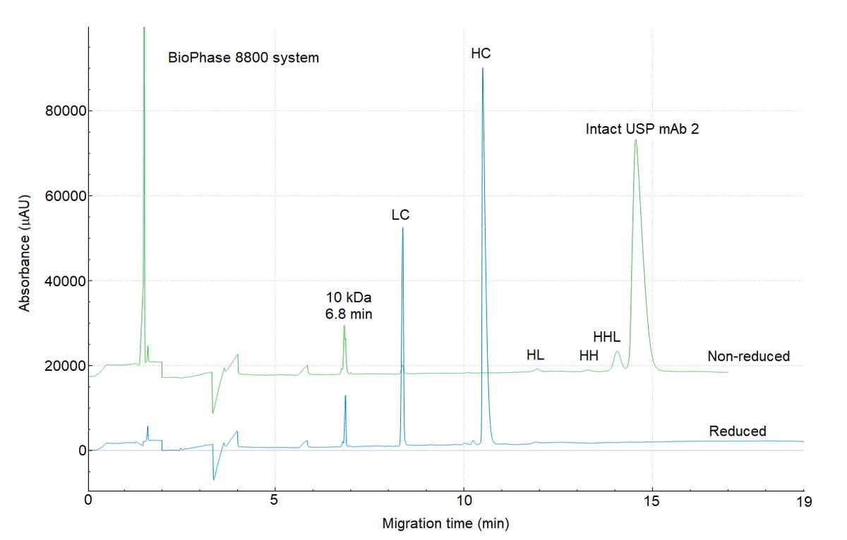 Efficient transfer of the high‐speed CE‐SDS method from the PA 800 Plus ...