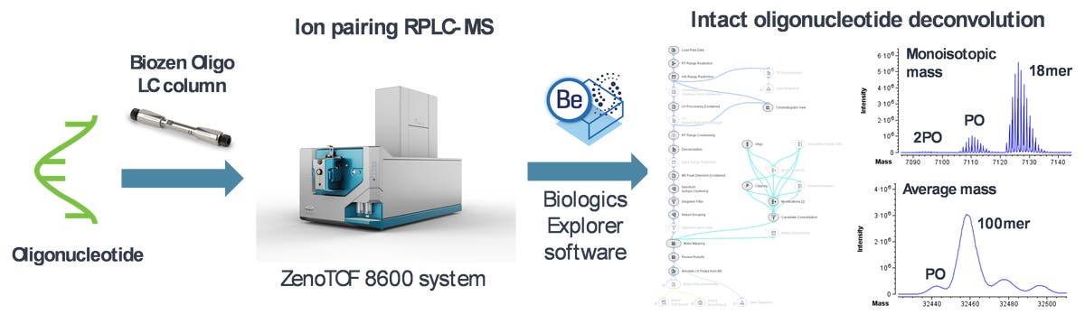 A streamlined LC-MS workflow for intact oligonucleotide analysis with ...