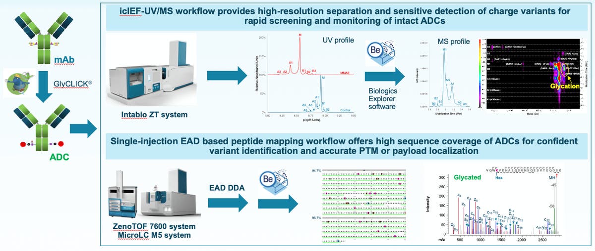 In-depth charge heterogeneity analysis of antibody-drug conjugates with ...