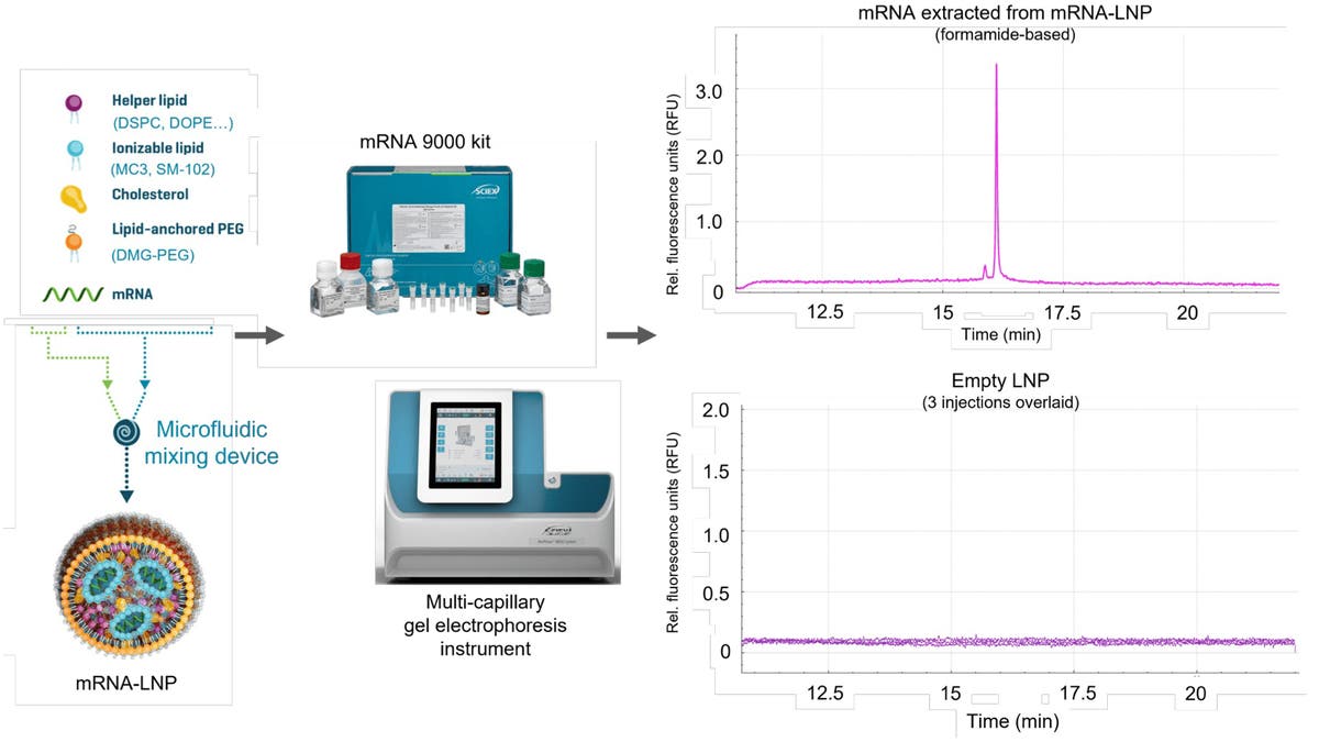 mRNA-LNP nucleic acid assessment from distinct formulations by multi-capillary gel electrophoresis
