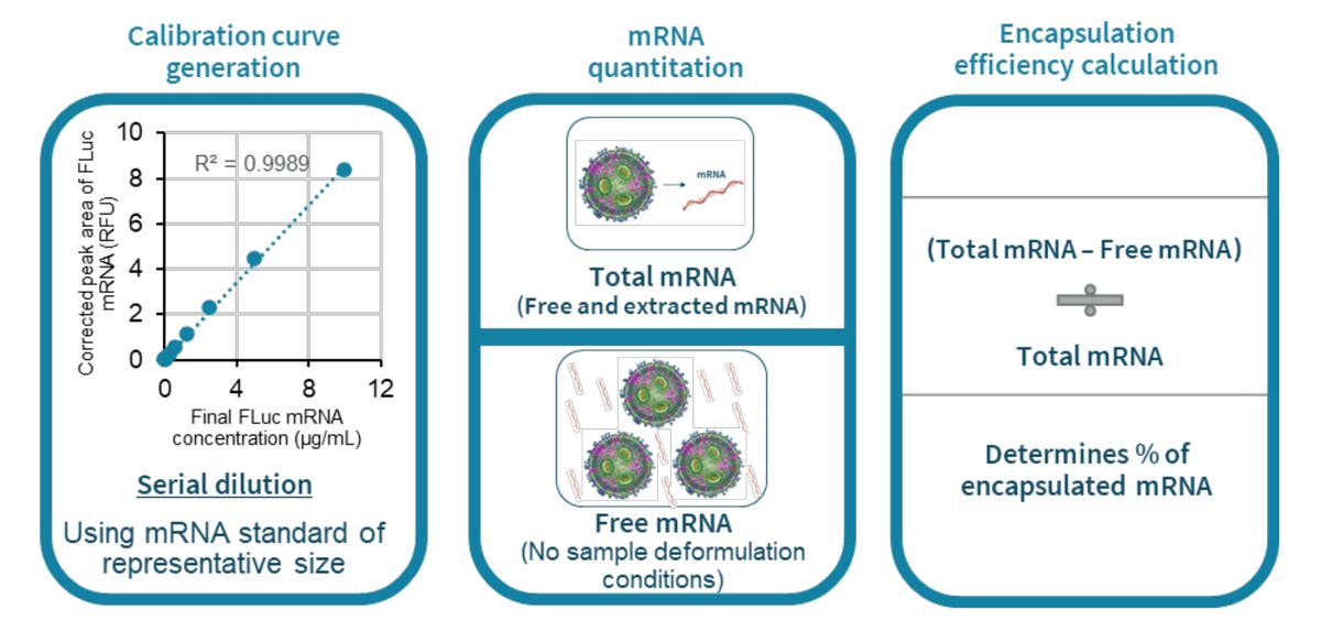 A new approach to determine encapsulation efficiency of mRNA-lipid ...