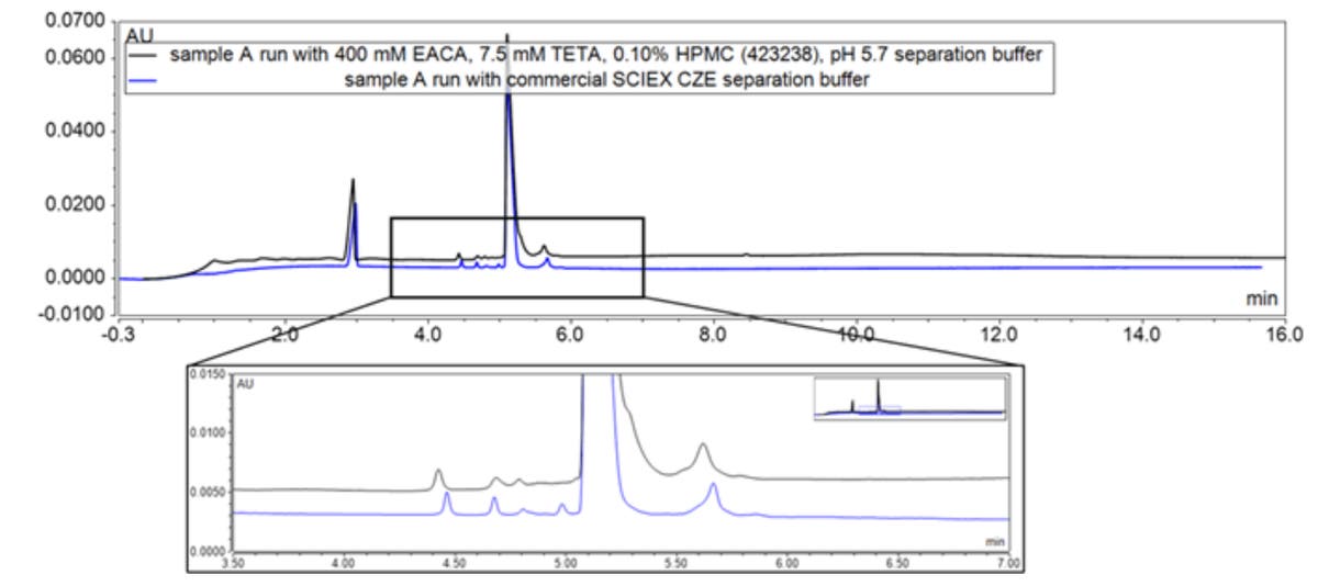 Factors affecting capillary zone electrophoresis (CZE) separation of ...