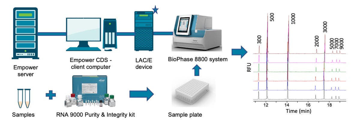 Highly reproducible RNA analysis on the BioPhase 8800 system using the ...