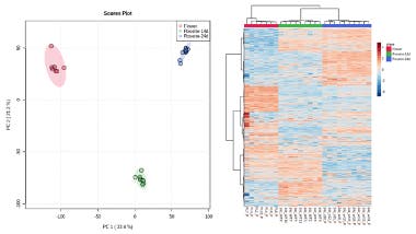 High-throughput lipid profiling of plant tissues using SWATH DIA and MS ...
