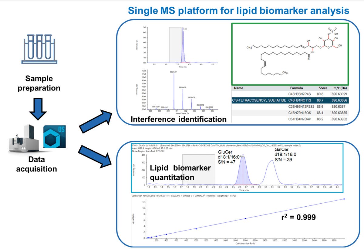 Identification and quantitation of lipid biomarkers using accurate mass ...